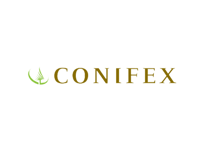Conifex