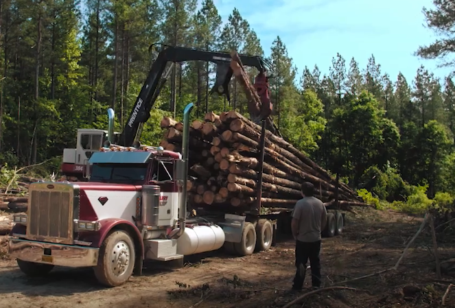 Arkansas Timber Success Story: Domtar Corporation